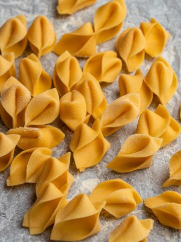 How to Make Cappelletti Pasta (easy filled shape!) - The Burnt Butter Table