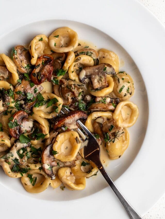 How to Make Cappelletti Pasta (easy filled shape!) - The Burnt Butter Table