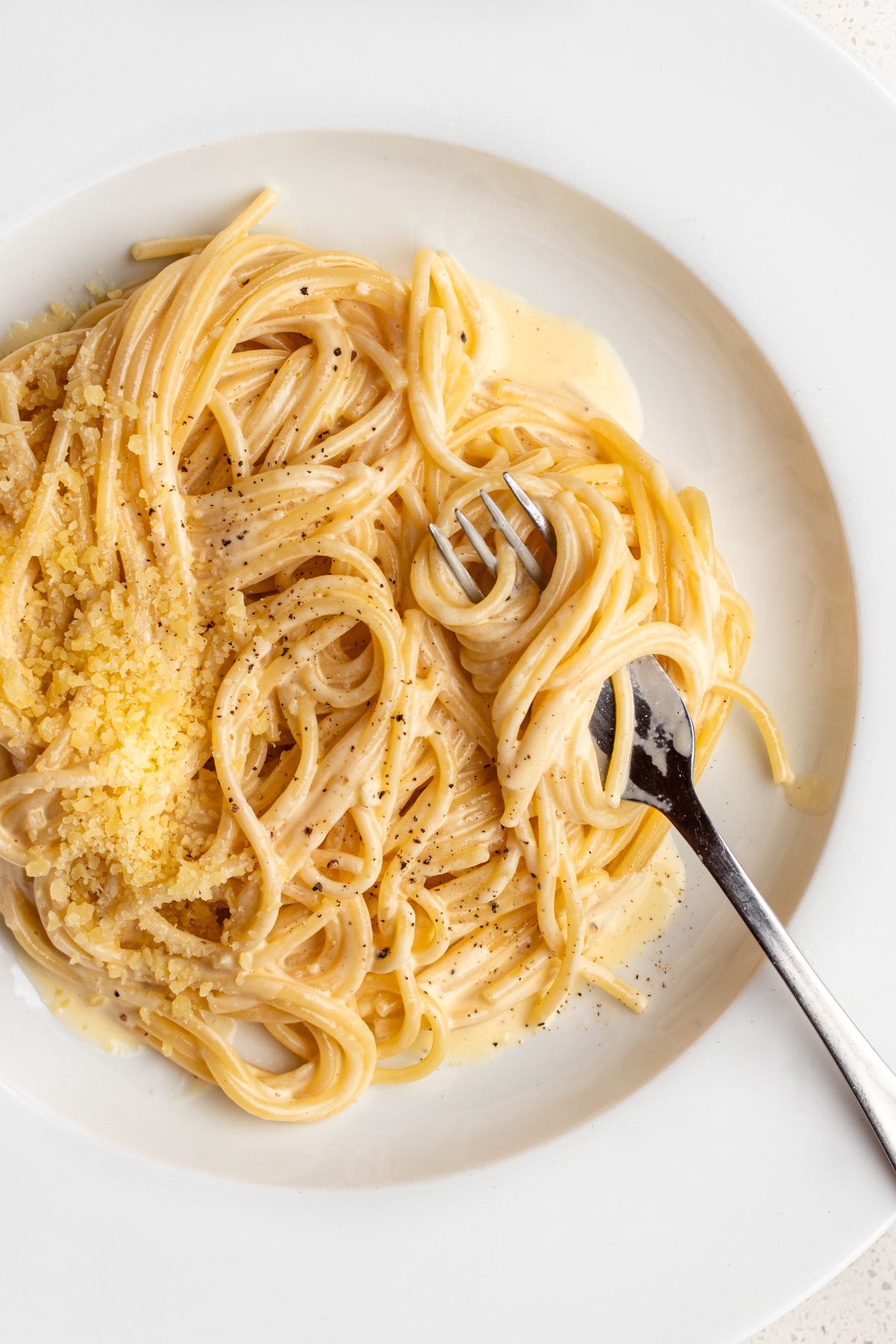 15 Best Creamy Pasta Recipes - The Burnt Butter Table